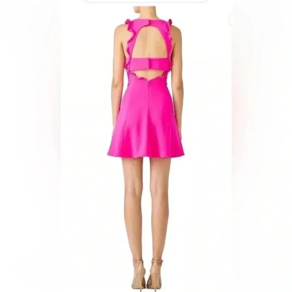 JAYGODFREY | Dresses | Jay Godfrey Ruffle Fit Flare Mini Dress | Poshmark